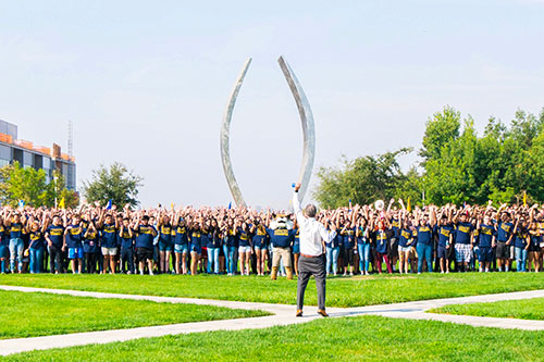 Media Cats Work | Marketing Communications for Enrollment Management